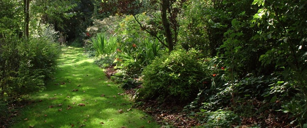 Gallery – Greenham Hall Bed and Breakfast – A Peaceful Retreat in a ...